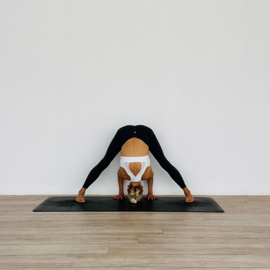 Understanding Prasarita Padottanasana with variations A, B, C & D ...